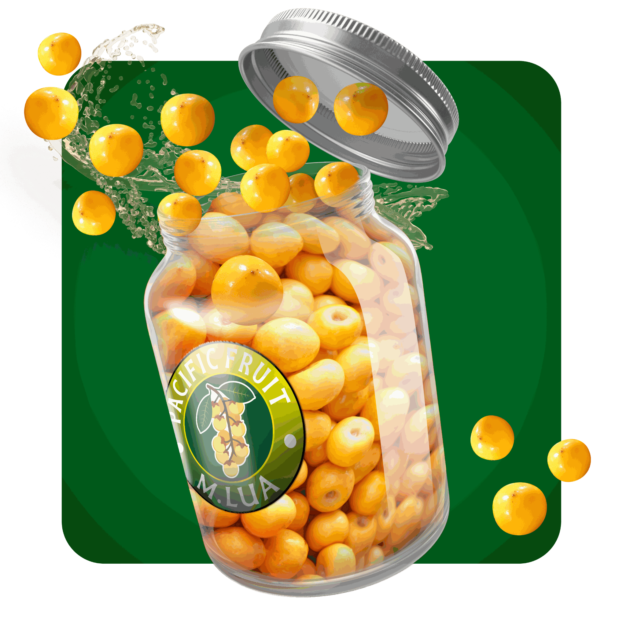 Pacific Fruit – Productores de Nanche (Byrsonima crassifolia) en ...